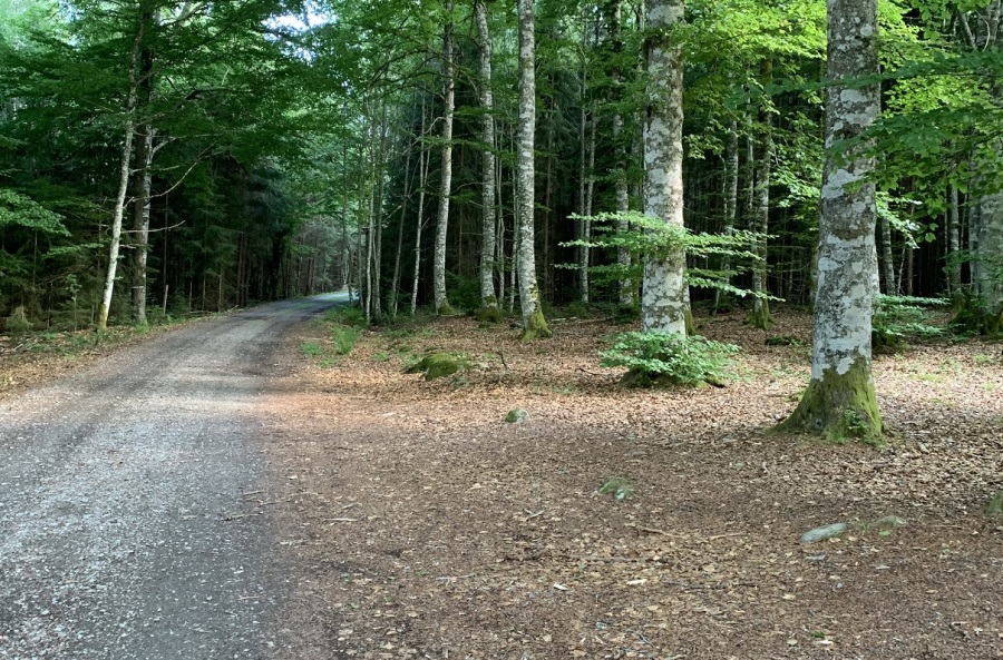 Älvsbyn | Jörn–Älvsbyn | Banvakt.se